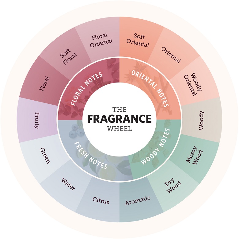 An Introduction To Scent Families And The Fragrance Wheel Kannauj Attar